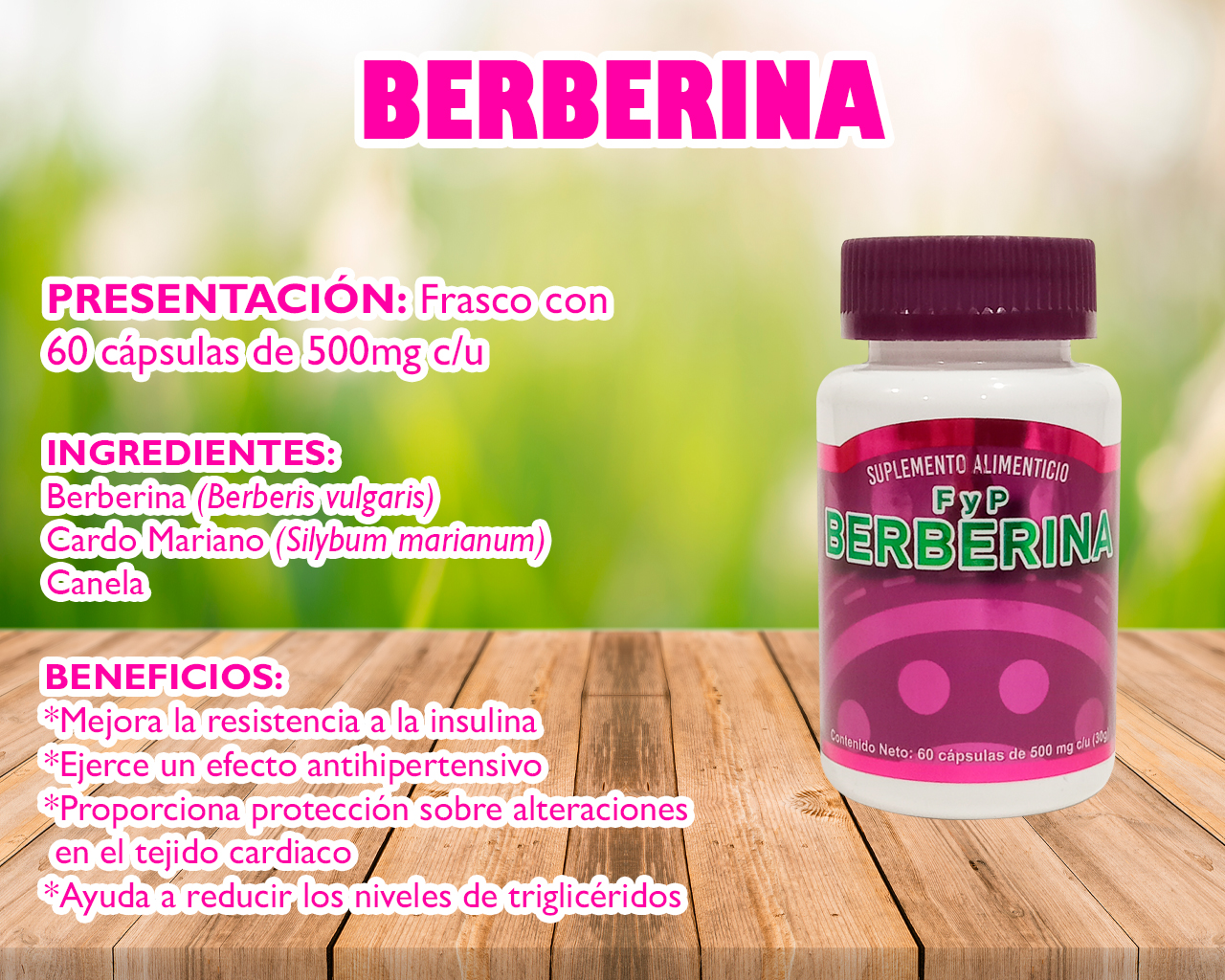 Fortaleza y Plenitud